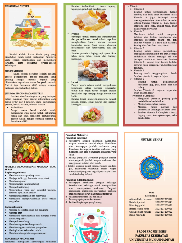 LEAFLET - NUTRISI SEHAT - Kelompok 3 - MALNUTRISI | PDF