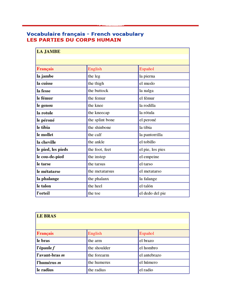 Vocabulaire des parties du corps humain | PDF | Anatomie humaine ...