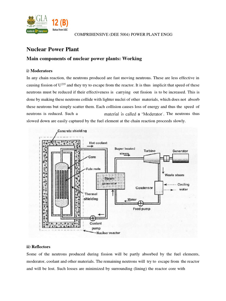 Nuclear Power Plant | PDF | Nuclear Reactor | Neutron