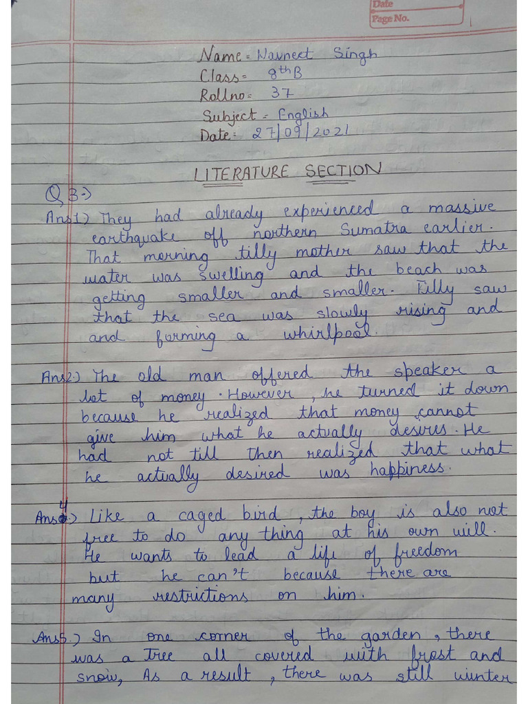 37 Navneet Singh English 8b | PDF