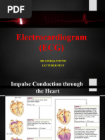 ECG Rhythm Interpretation | PDF | Electrocardiography | Cardiology