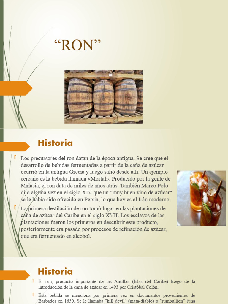 T-5 Ron | PDF | Ron | Bebidas alcohólicas