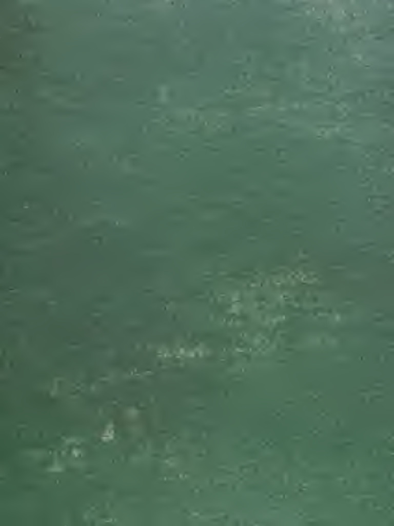 James Appleton Morgan Legal Maxims | PDF | Justice | Crime & Violence