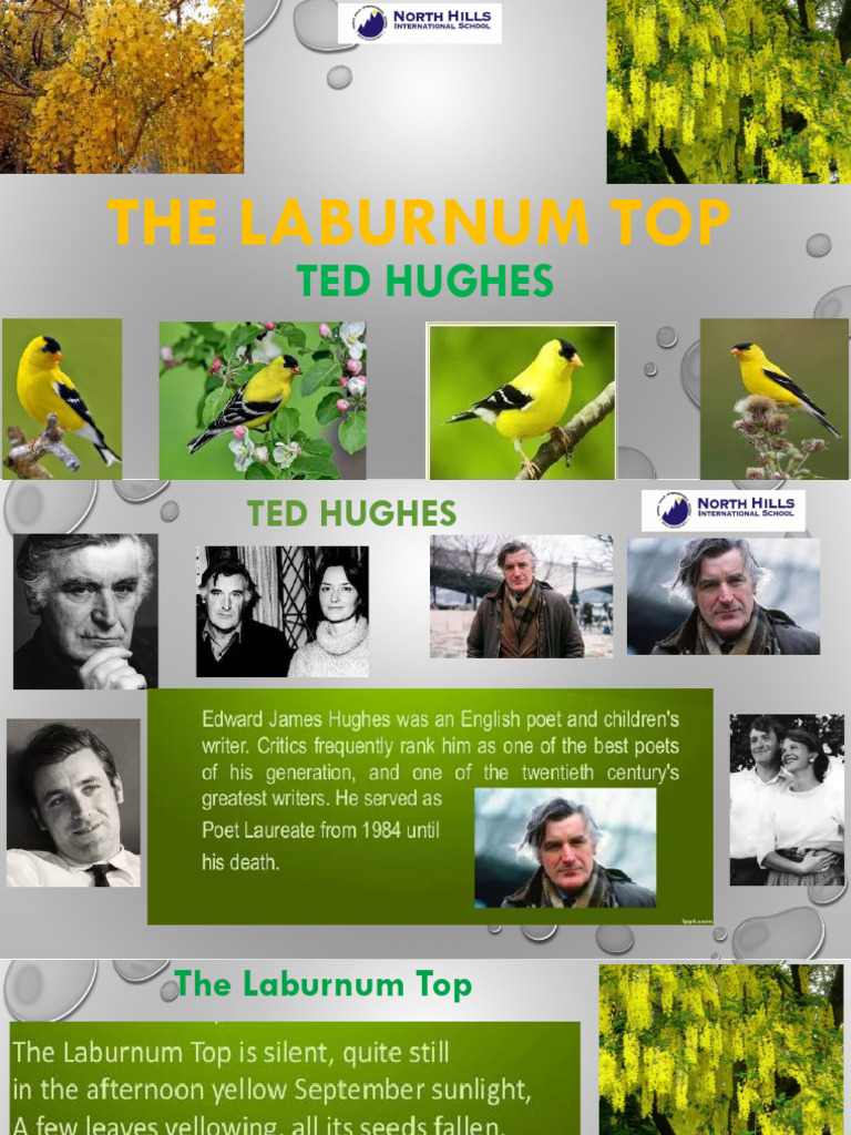 The Laburnum Top | PDF | Poetry