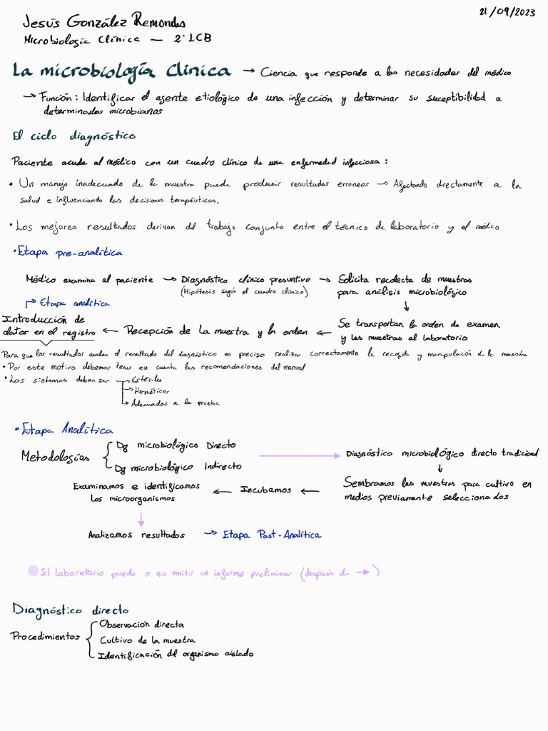 Esquema Micro - Jesús González | PDF