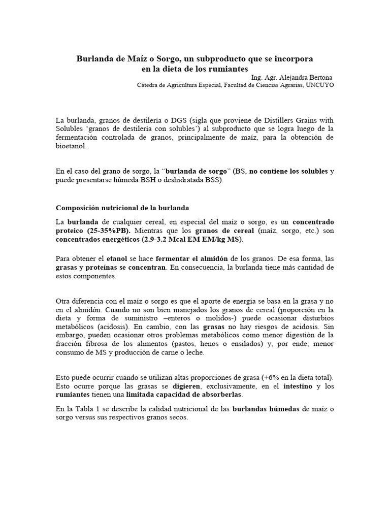 Burlanda de Maíz y Sorgo | PDF | Carne | Cereales
