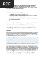 Reflejo Cremastérico: Definición y Ausencia | PDF