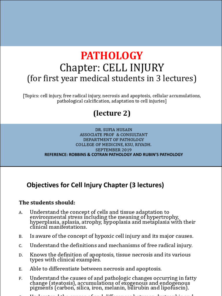 03 - Pathology CELL INJURY L2 Medical Sept. 2019 | PDF | Apoptosis ...