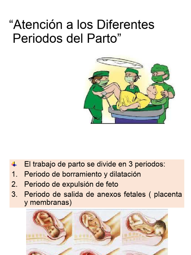 Atencion de Los Periodos Del Parto | PDF | Parto | Feto