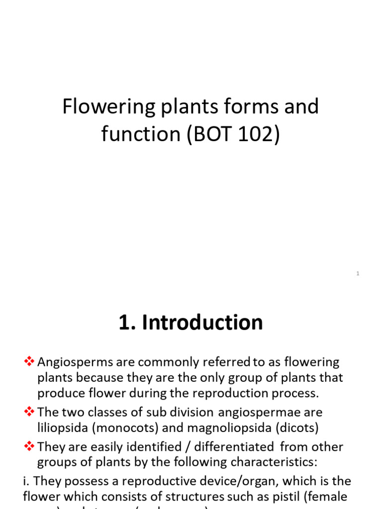 Flowering Plants Forms and Function (BOT 102) 2023 | PDF | Plant ...