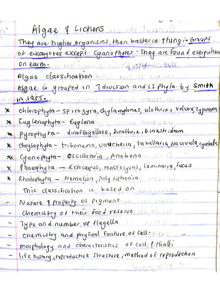Bot101 Algae Lichen Bryophyte | PDF