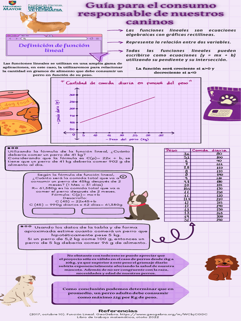 Infografia Matemáticas | PDF | Ecuaciones | Linealidad