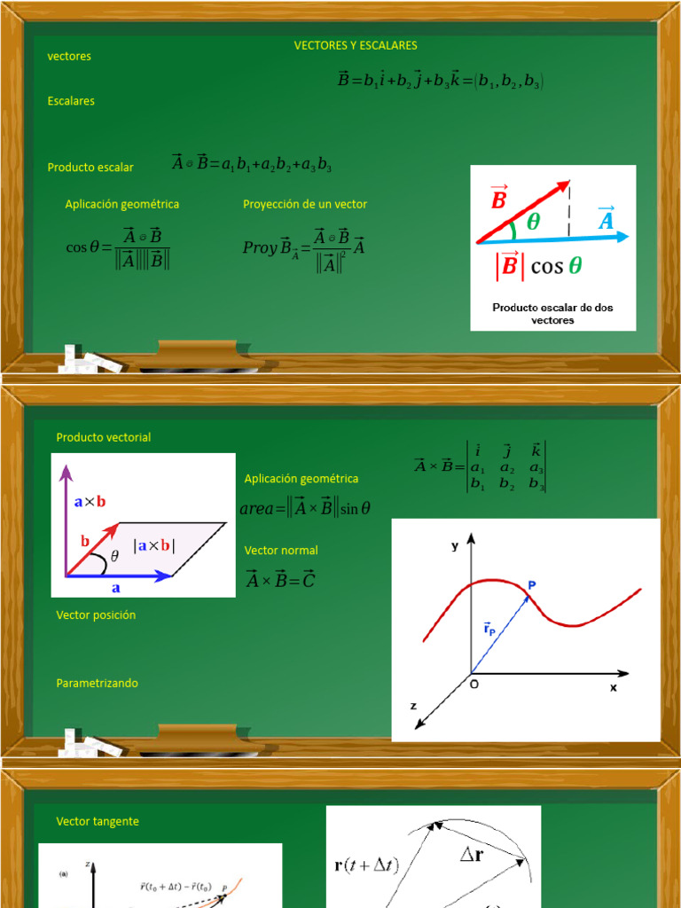 Vectores y Escalares: Conceptos Clave | PDF | Vector Euclidiano ...