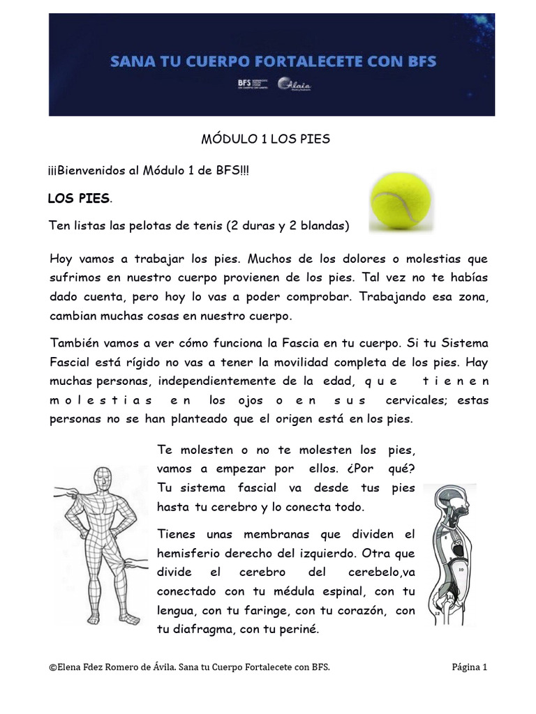 5.1Sana_tu_Cuerpo_y_fortalece_con_BFS._M_dulo_1_revisado_y_modificado | PDF | Pie | Sistema ...