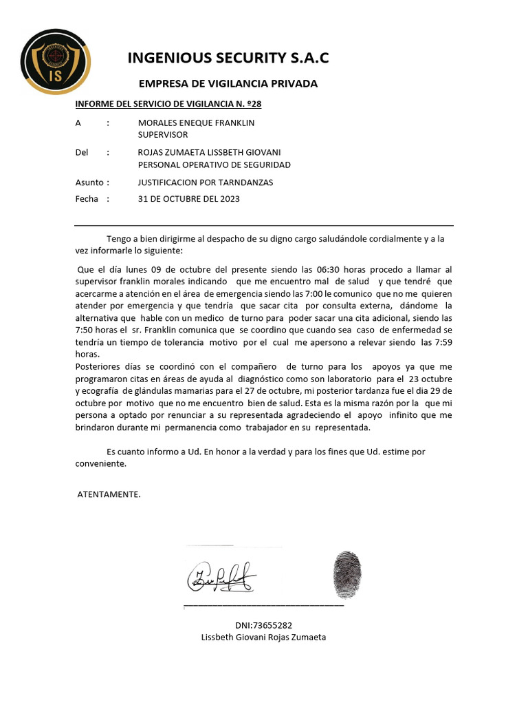 Informe 28 | PDF