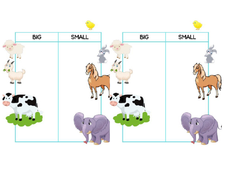 Animale Big Small | PDF