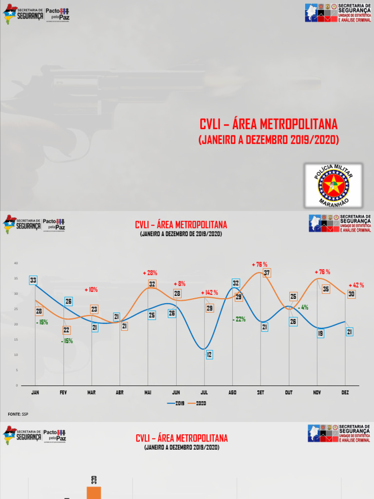 Relatório Cvli - 2019 e 2020 | PDF