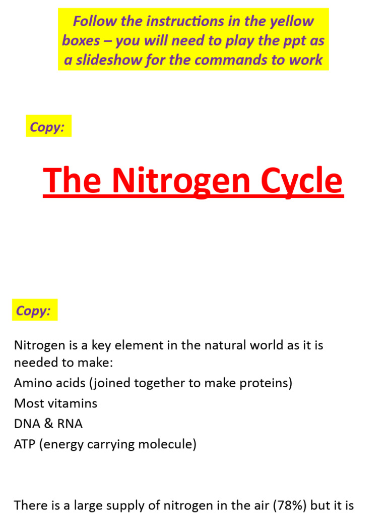 The Nitrogen Cycle | PDF | Nitrogen | Nitrate