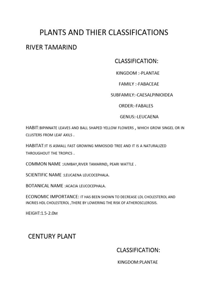 Plants And Thier Classifications Pdf Plants Botany