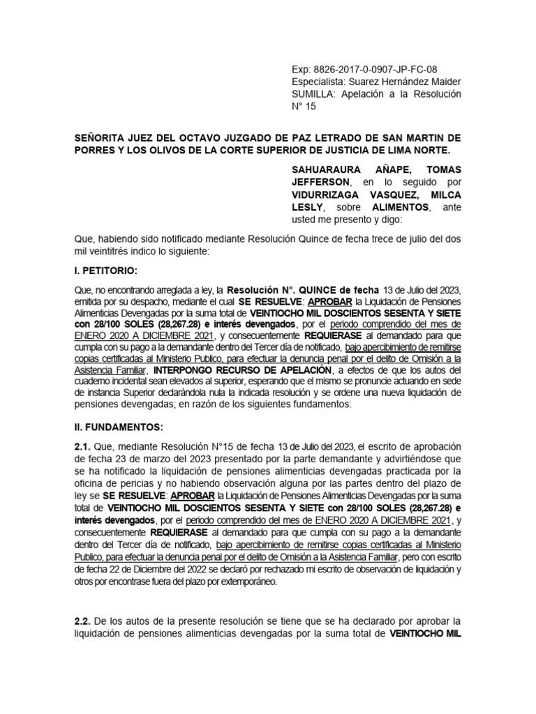 recurso de apelacion | PDF | Apelación | Ley procesal