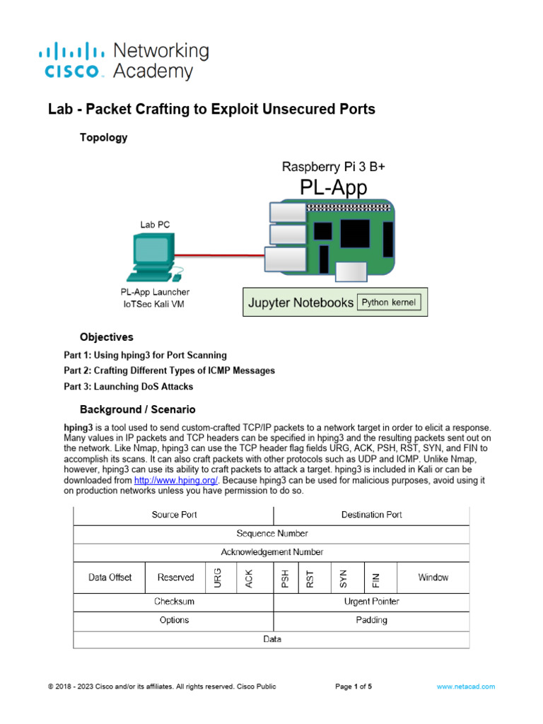4.2.2.6 Lab - Packet Crafting To Exploit Unsecured Ports | PDF | Port (Computer Networking ...
