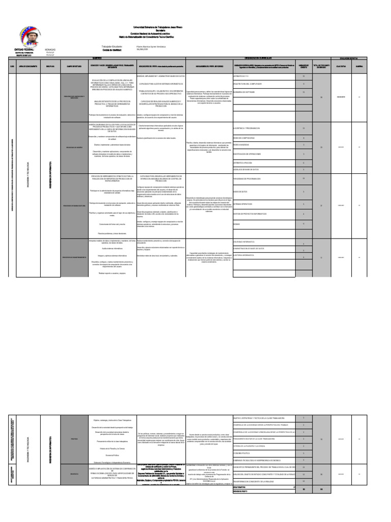 Matriz Syren Flores | PDF | Software | Informática