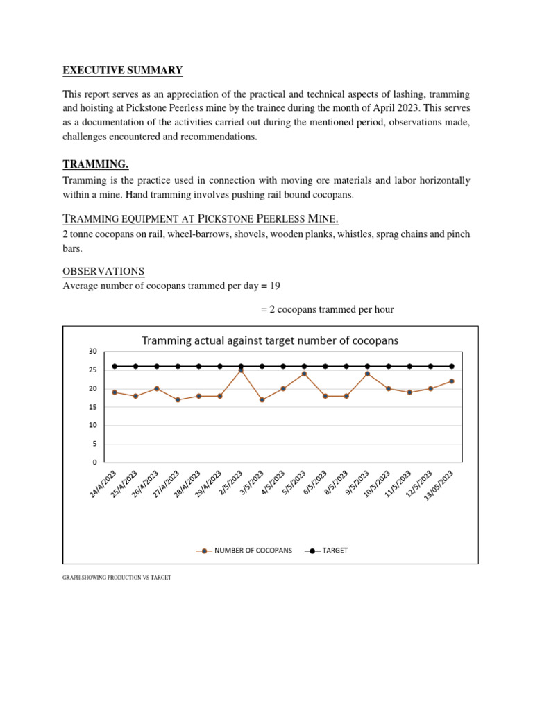 Executive Summary | PDF | Mining