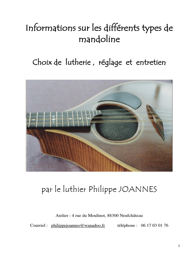 Mandolines Et Mandoles Techniques de Construction | PDF | Guitares ...