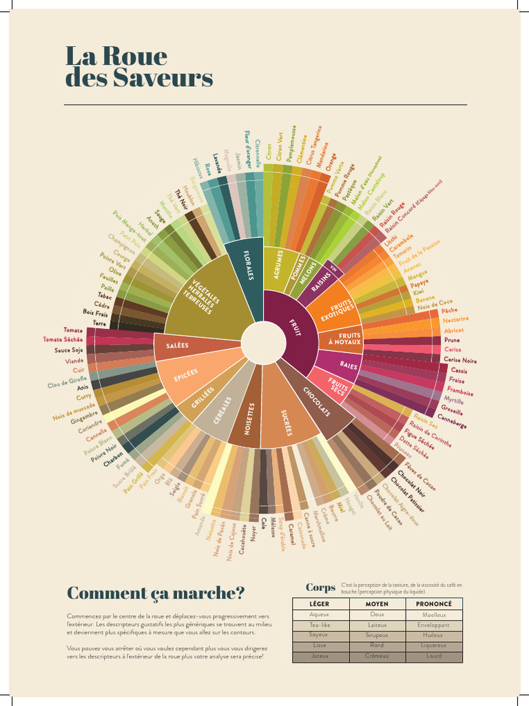 Roue Des Save Urs | PDF