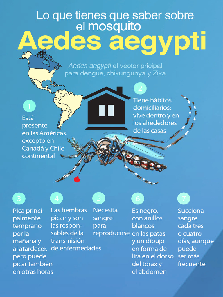 Infografía - Lo Que Tienes Que Saber Del Mosquito | PDF | Mosquito ...
