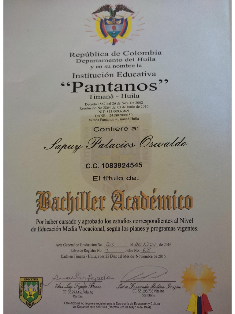 Pando | PDF