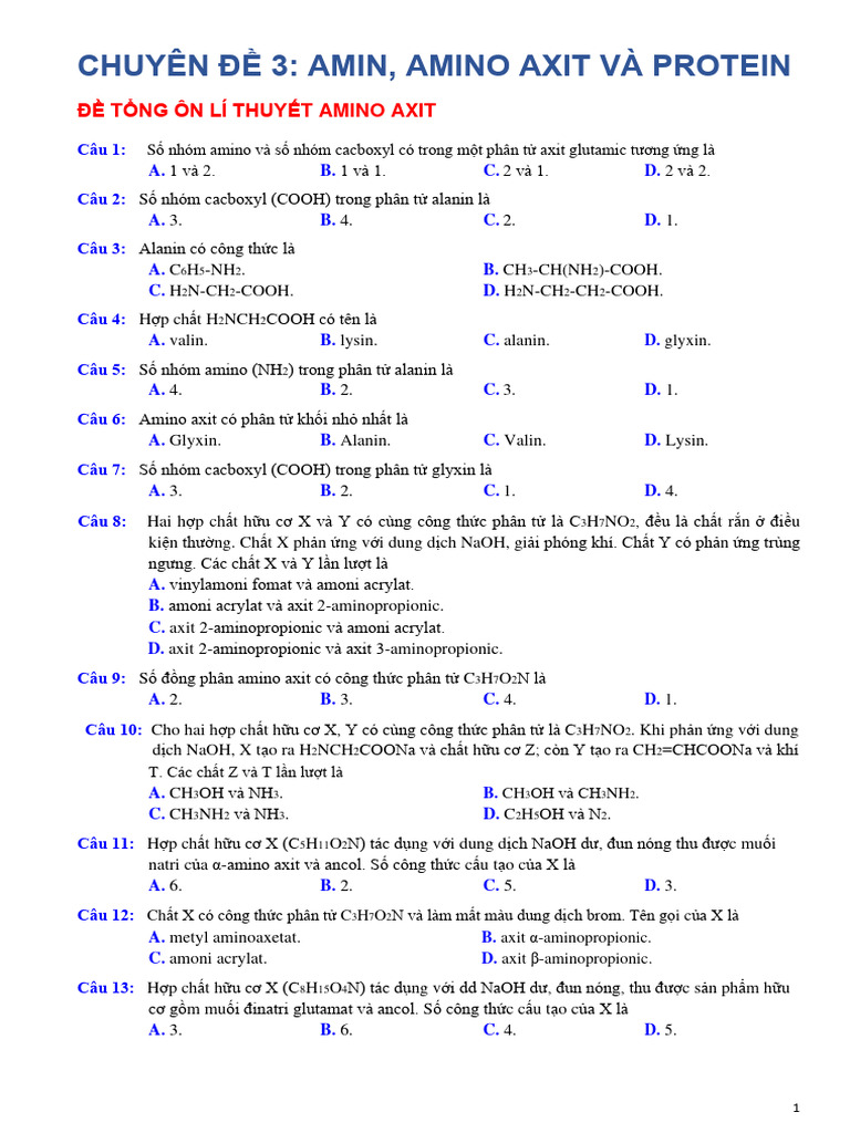 3.2 - ĐỀ TỔNG ÔN LÍ THUYẾT AMINO AXIT | PDF