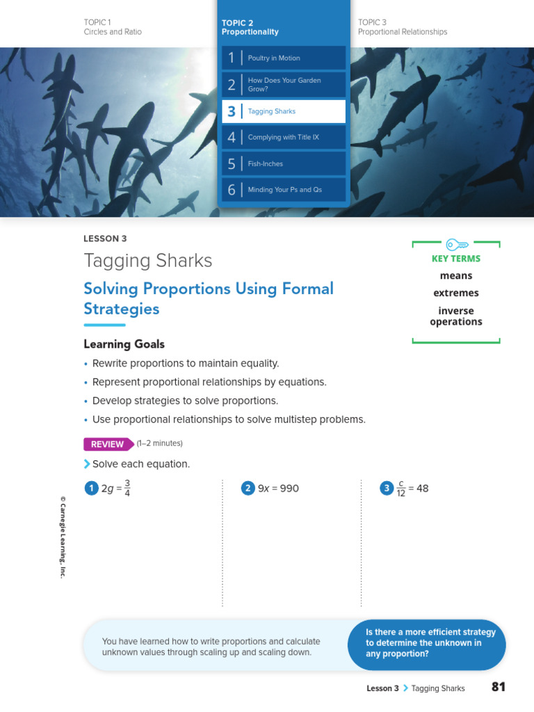 Tagging Sharks: Solving Proportions Using Formal Strategies | PDF