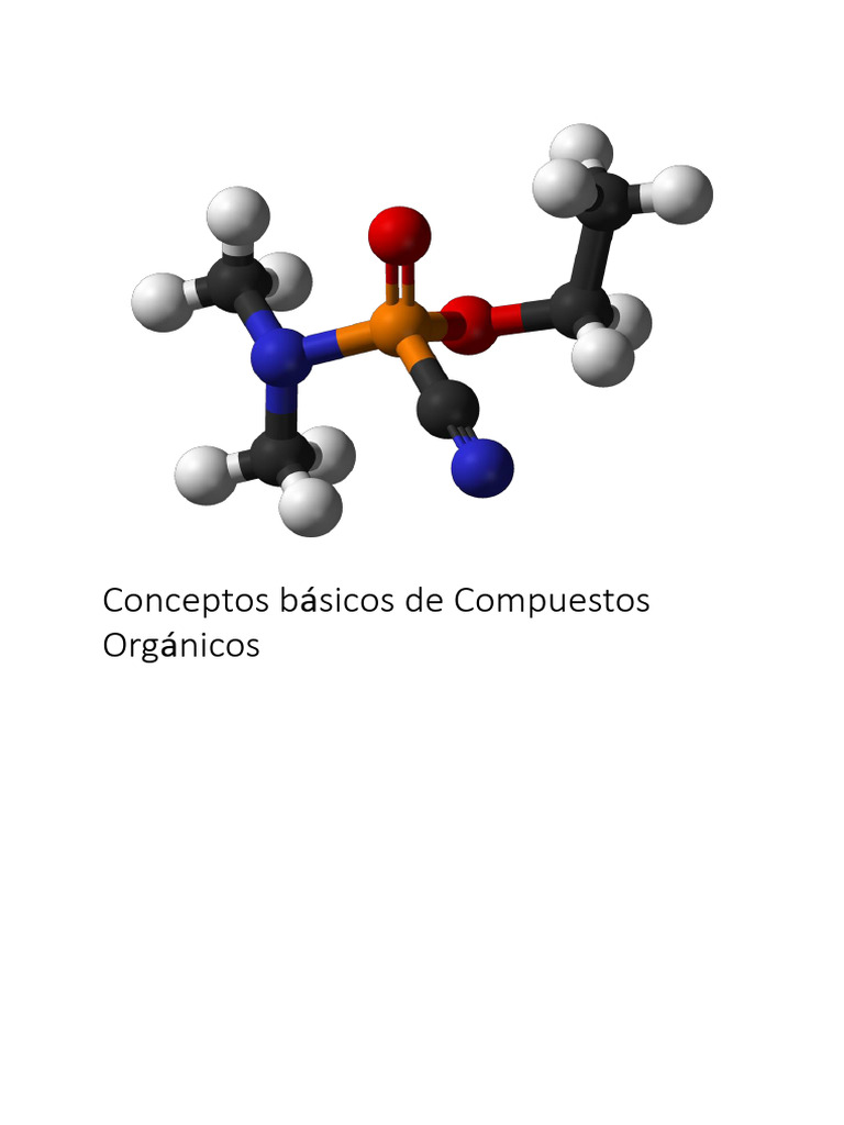 Conceptos Básicos de Compuestos Orgánicos | PDF | Filosofía