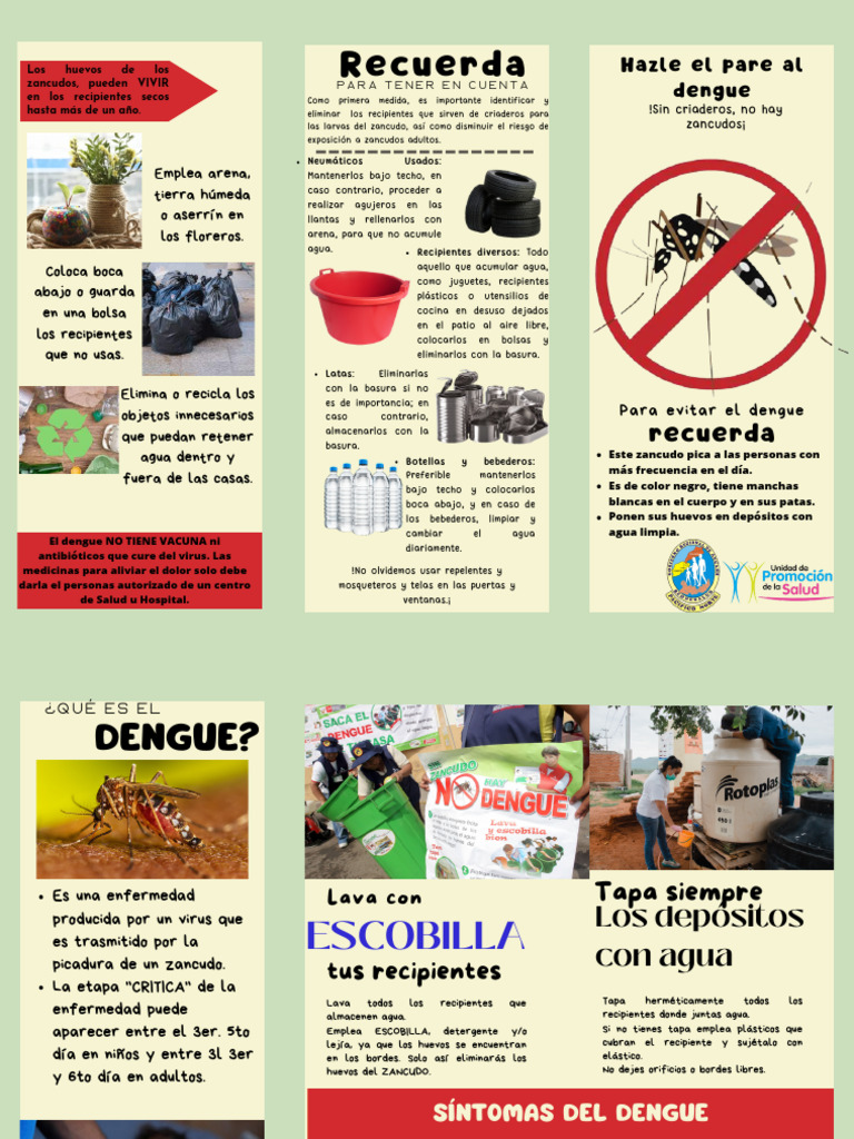 Folleto Del Dengue | Descargar gratis PDF | Mosquito | Residuos