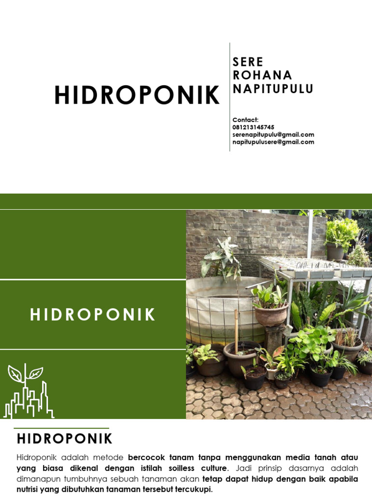 Hidroponik | PDF