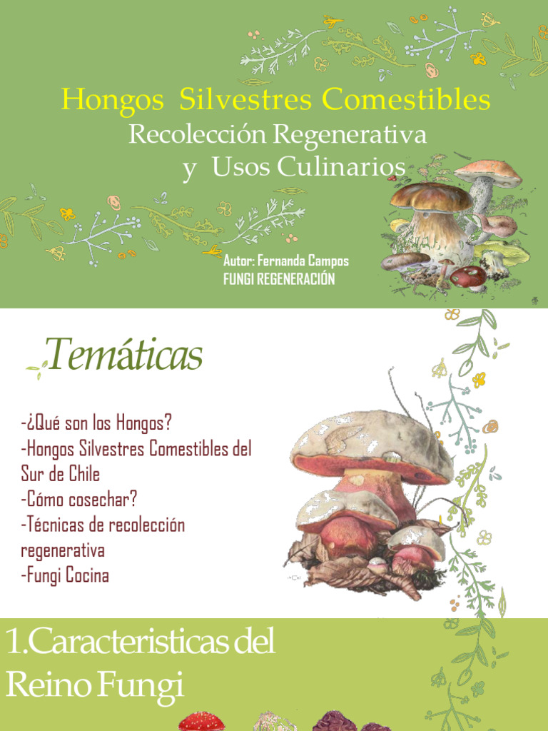 Fungi y Recetas | PDF | Hongo | Ingredientes de comida