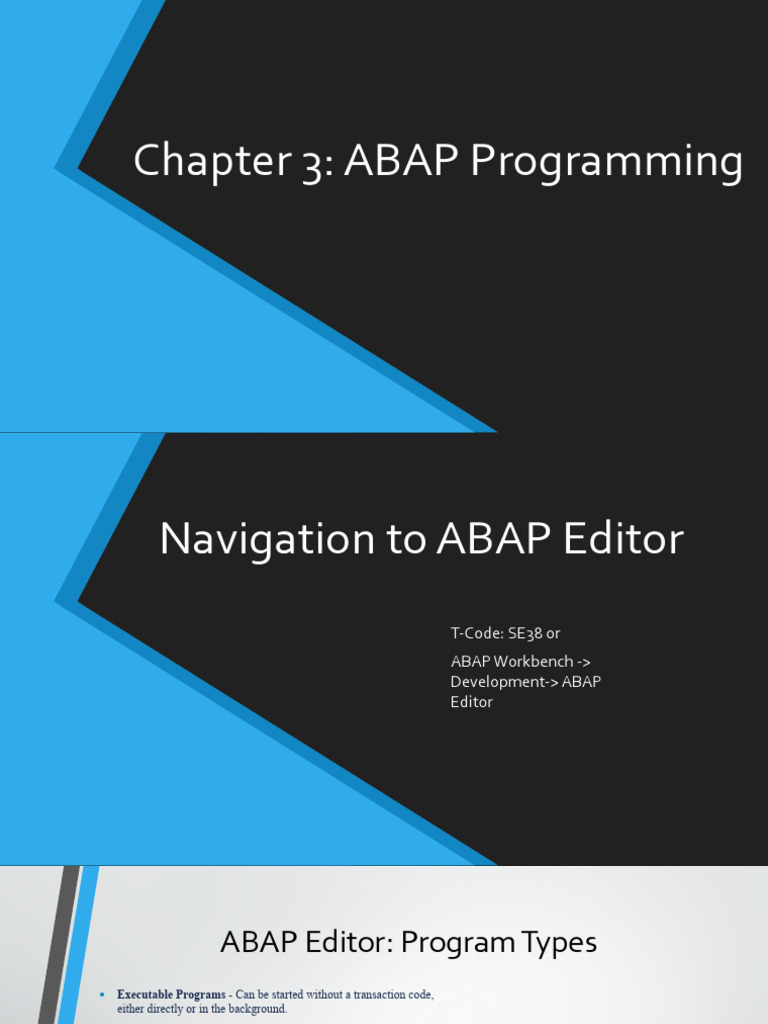 Chapter 3 ABAP Editor (Write Statement and Elementary Data Types) | PDF | Computer Program ...