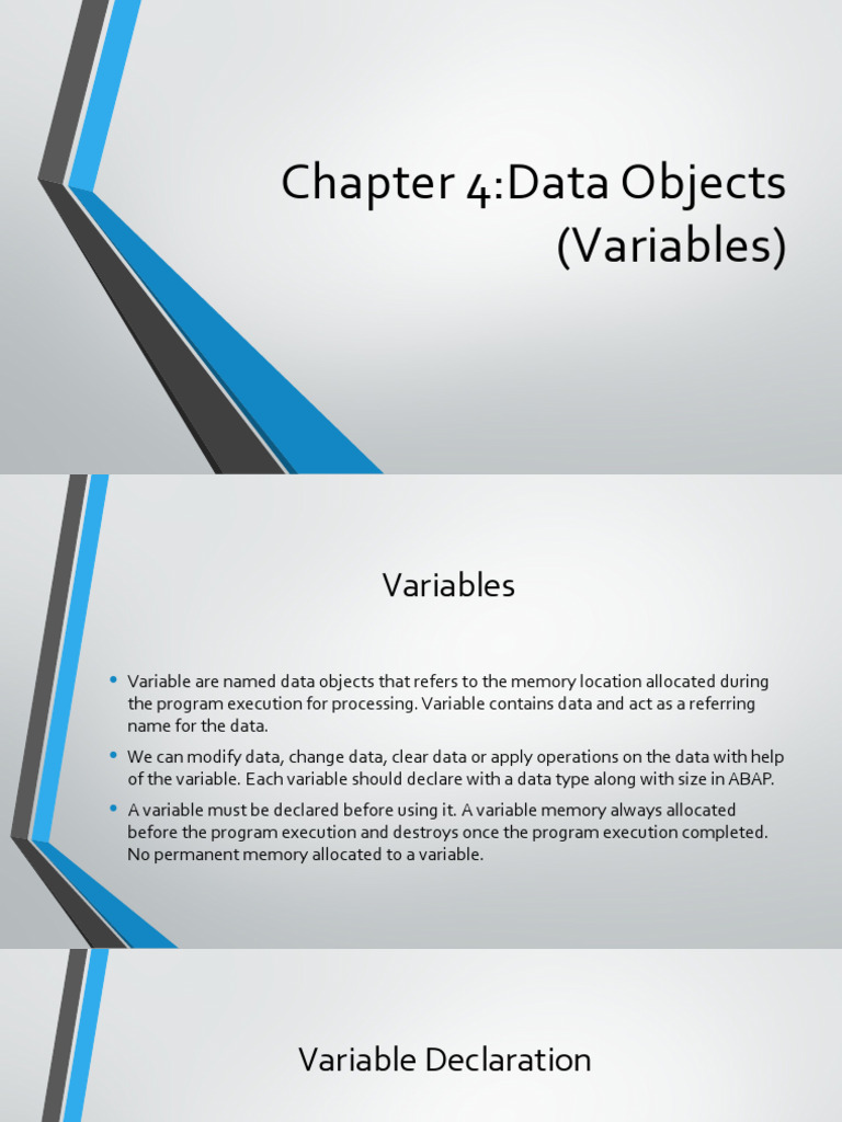 Chapter 4 Data Objects Variables Pdf Variable Computer Science