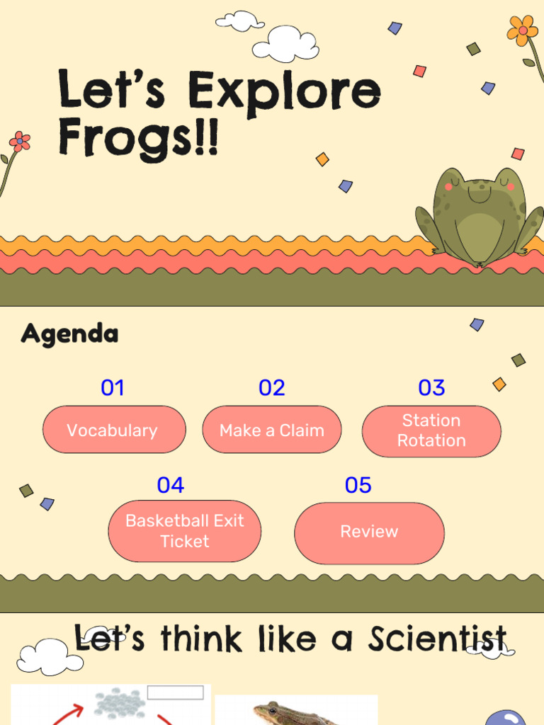 The Life Cycle of Frogs | PDF | Young Adult | General Fiction
