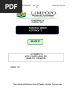 SESOTHO HL Grade 11 | PDF