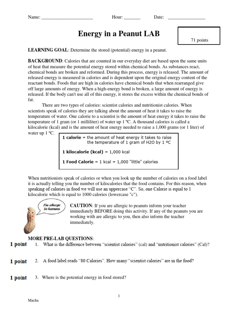 Energy in A Peanut Lab | PDF | Calorie | Thermodynamics