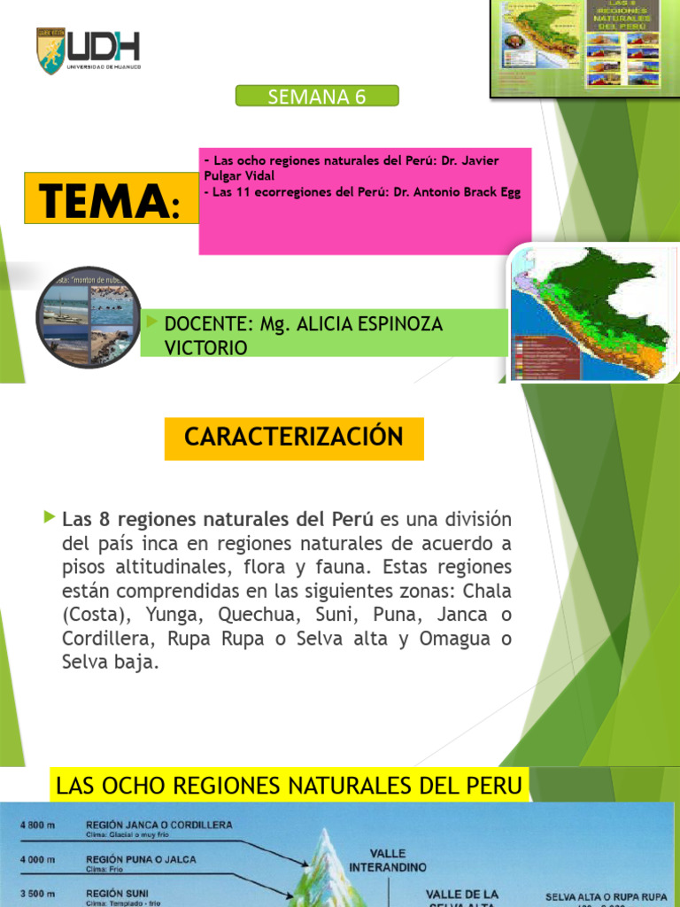 Regiones y Ecoregiones Del Perú | PDF | Geografía Física | Ciencias de ... Regiones y Ecoregiones Del Perú | PDF | Geografía Física | Ciencias de ...