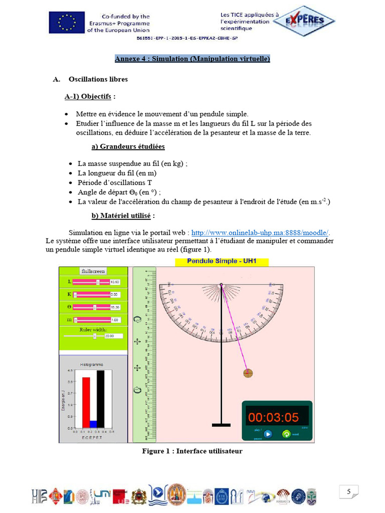 TP1 - Fiche de Simulations | PDF | Pendule (physique) | Masse