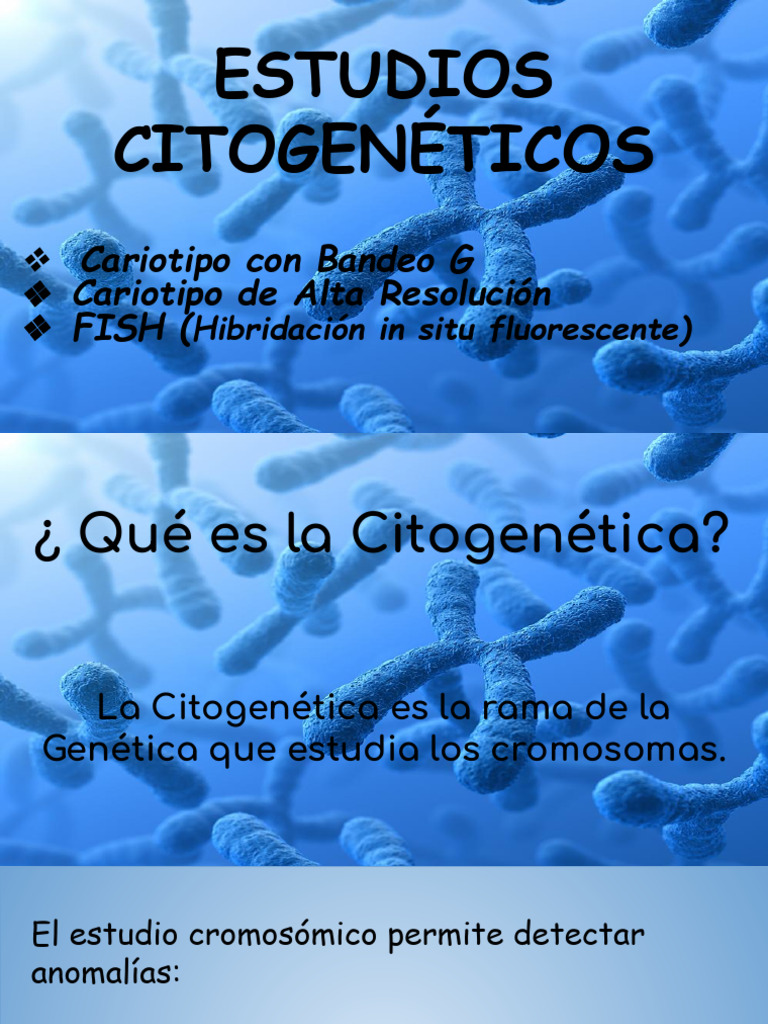 Estudios Citogenéticos | PDF | Hibridación in situ fluorescente ...