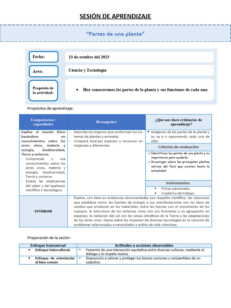 Aprendiendo sobre Plantas | PDF | Aprendizaje | Plantas