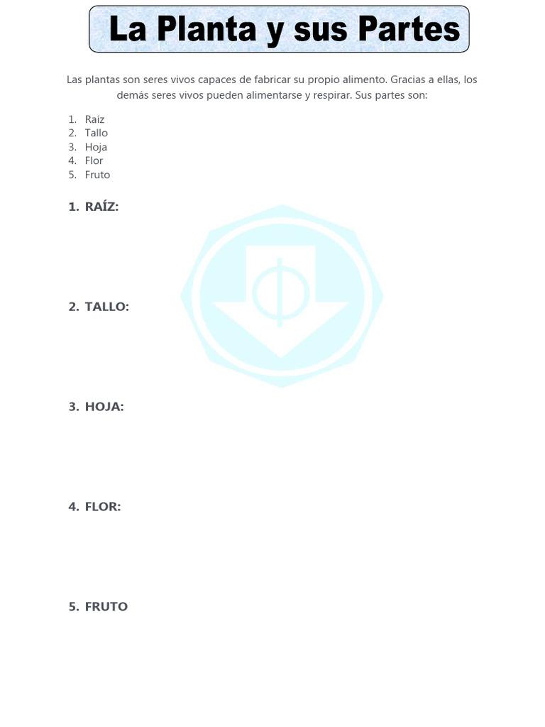 Ficha de La Planta IMPRIMIR | PDF | Ciencia y matemáticas