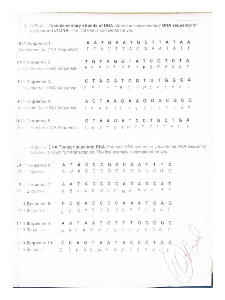 Ejercicios U1 BM | PDF