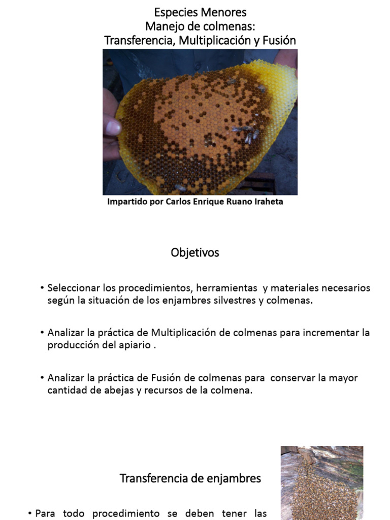 Manejo de Colmenas 2022 | PDF | Colmena | Miel