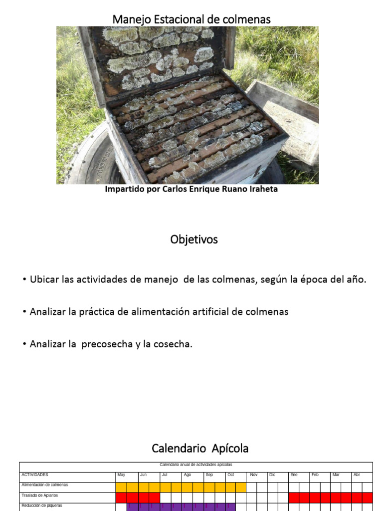 Manejo Estacional De Colmenas 2022 Pdf Apicultura Colmena